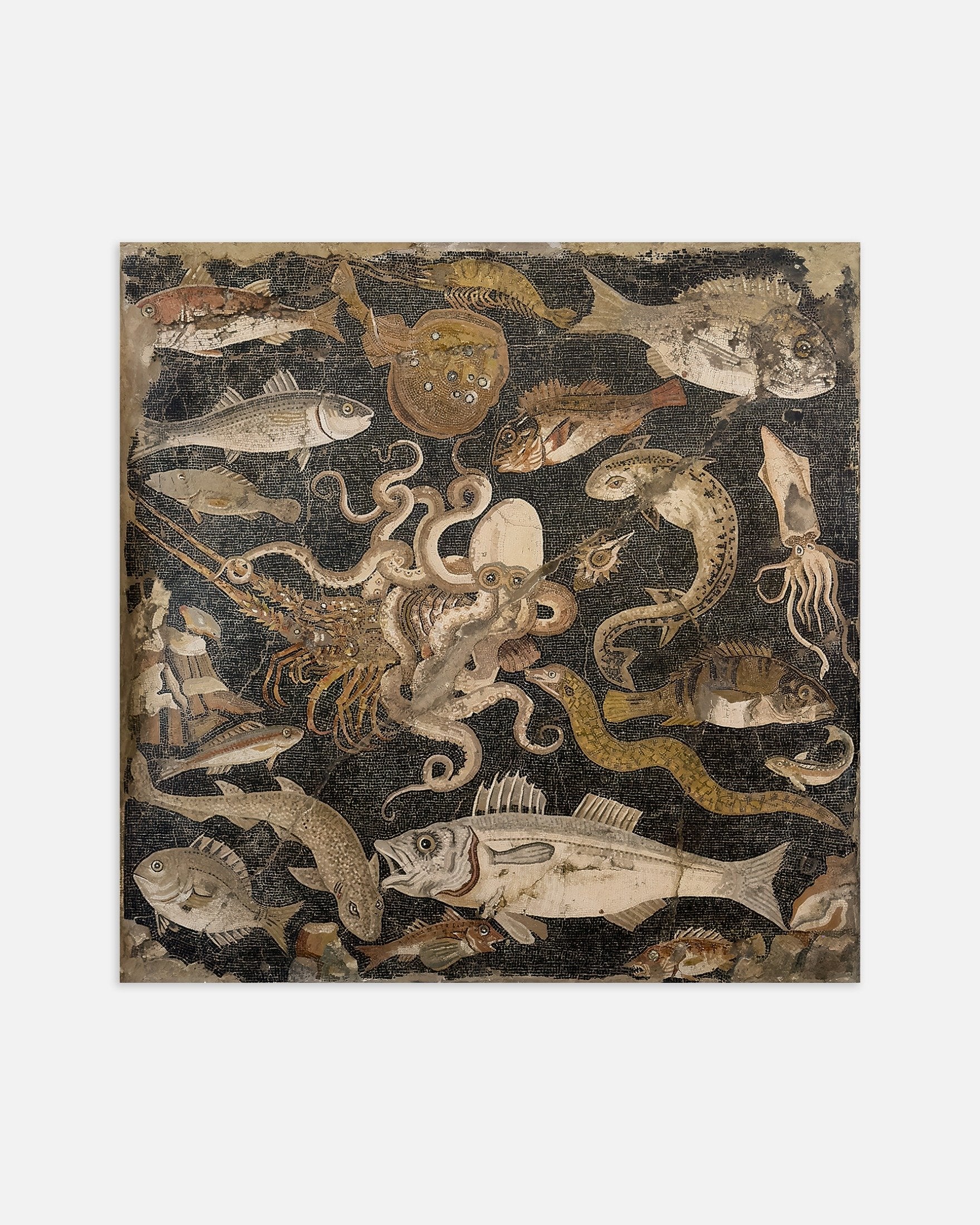 Pompeii Maritime Mosaic Print | Classic Roman Sea Creatures Wall Art ...